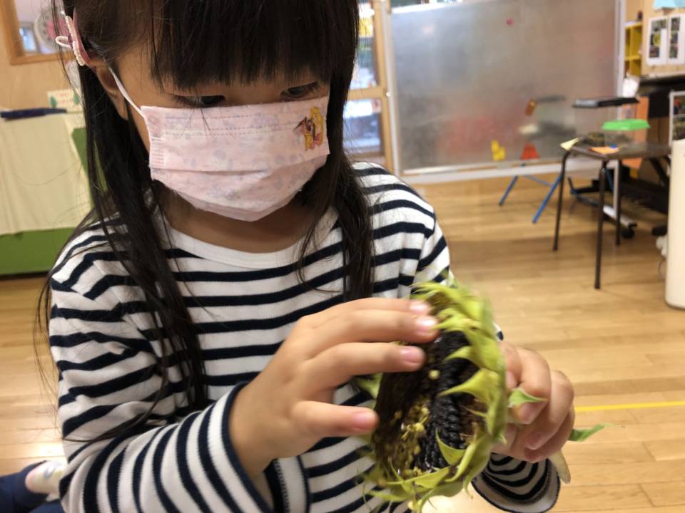 IMG_5004 | 学校法人 麻上学園 さくら幼稚園